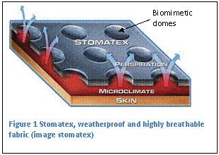 Biomimetics: Engineering New Textile