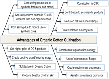 Organic Cotton Concept for Bangladesh