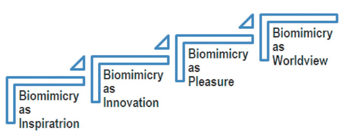 Biomimics and its application in textiles and apparel (Episode-I)