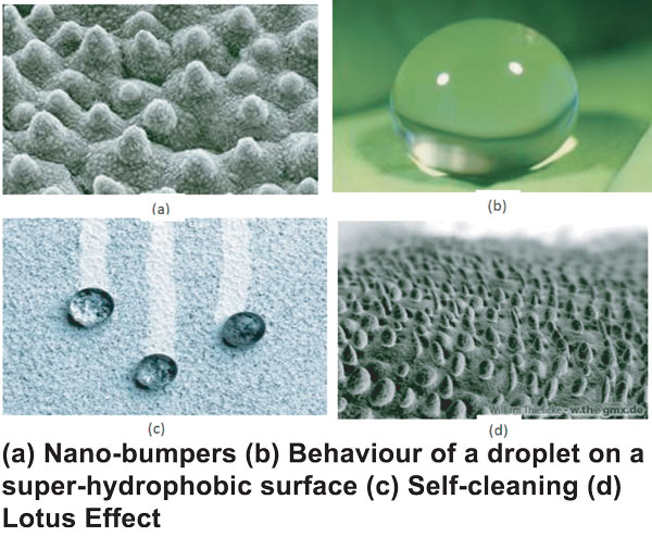 Biomimics and its application in textiles and apparel (Episode-I)