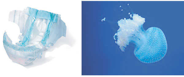 Biomimics and its application in textiles and apparel (Episode-I)