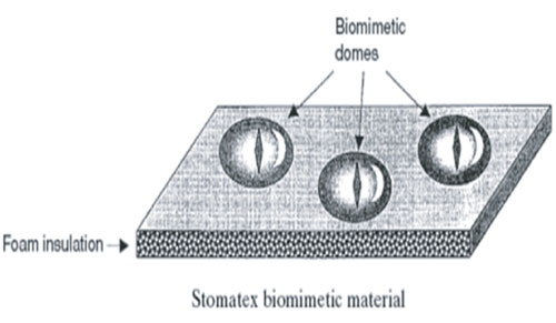 Biomimics and its Application in Textiles and Apparel (Episode-2)