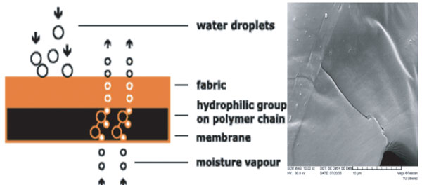 Biomimics and its Application in Textiles and Apparel (Episode-2)