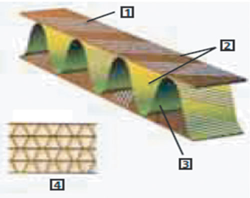 Biomimics and its Application in Textiles and Apparel (Episode-2)