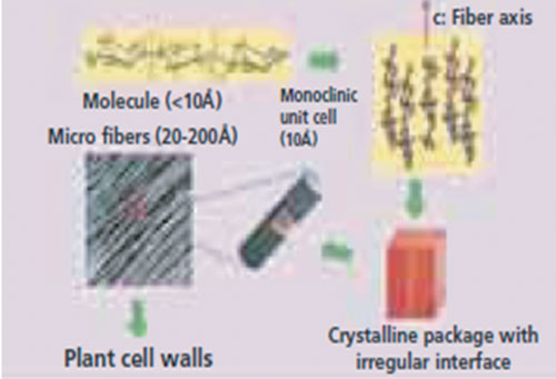 Biomimics and its Application in Textiles and Apparel (Episode-2)