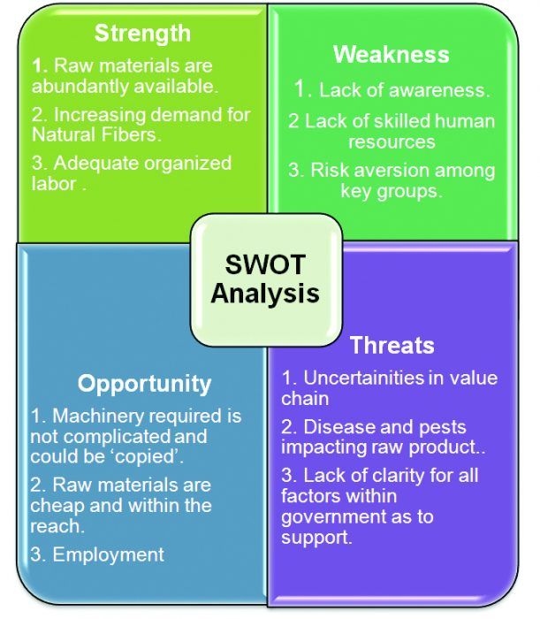 Prospect of pineapple leaf fiber in Bangladesh
