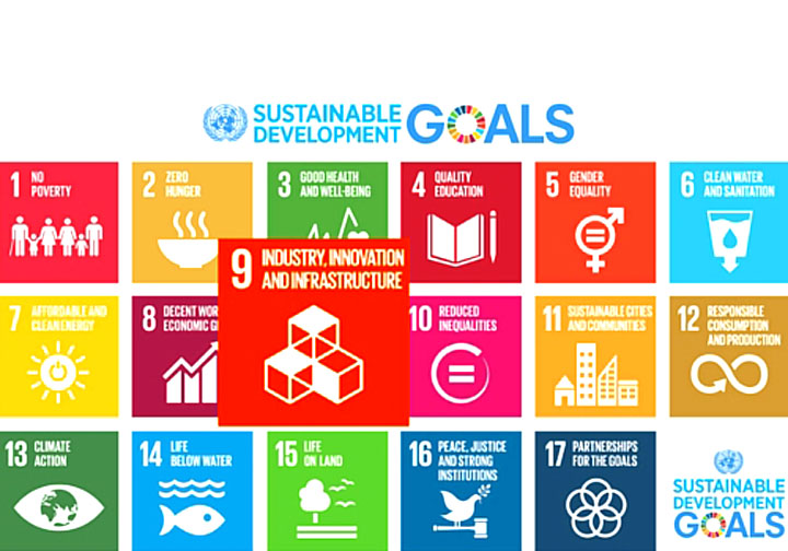 Challenges and possible remedies for SDG implementation- private sector ...