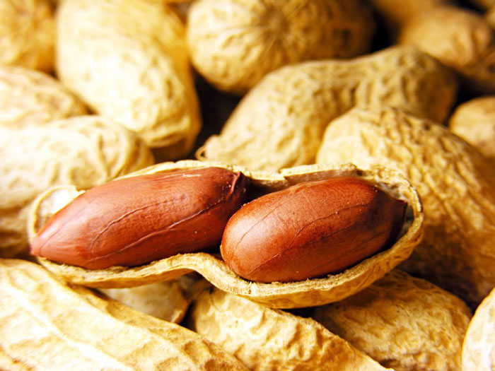 Groundnut protein fiber, its properties, and end use