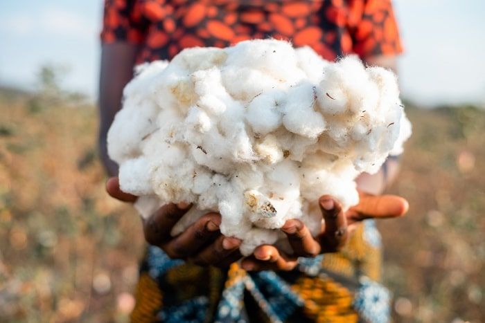 Continued growth for cotton made in Africa