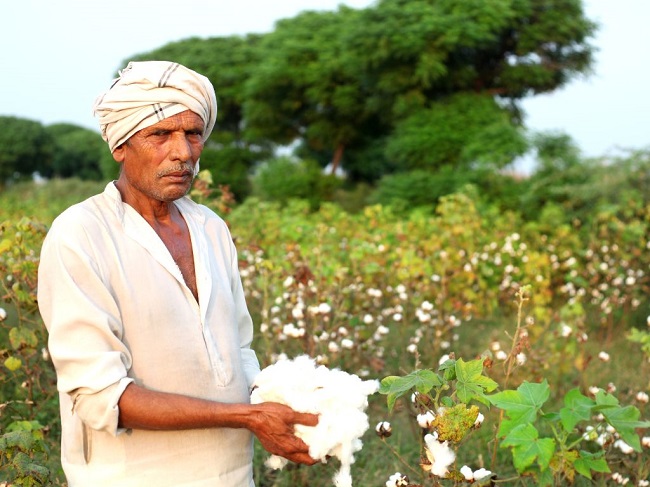 Indian farmers hoping higher price like last year