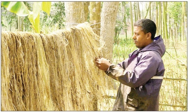 Training begins to make banana fiber based products