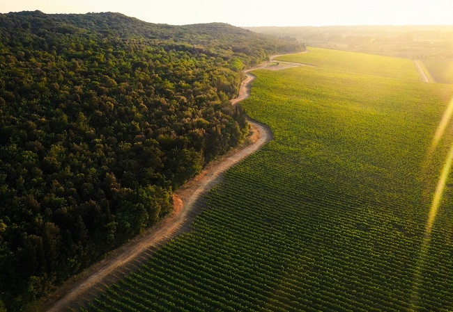 Sustainable Raw Material Is Key To Green Revolution For Global Fashion