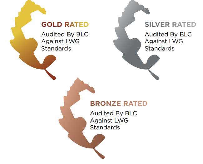 Why are we lagging behind in the leather industry?