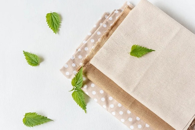 MMCF sector urges to accelerate next-gen fiber solutions in 2025