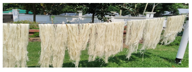 Innovative applications of agro waste-based banana trunk fiber