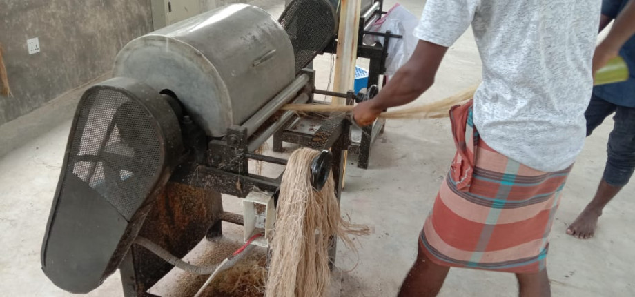 Innovative applications of agro waste-based banana trunk fiber