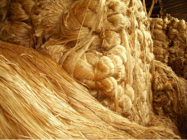 The bright future of jute fiber in garment manufacturing