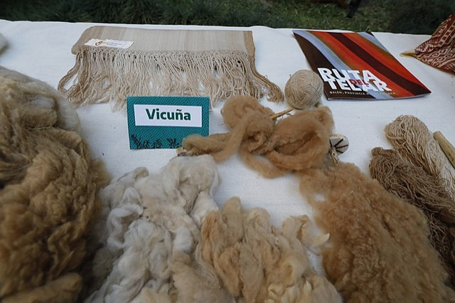 History behind the world's most expensive vicuna wool