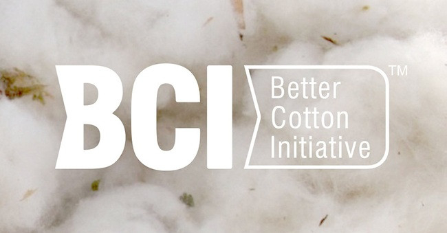 BCI launches carbon-storing biochar model for cotton farms in India