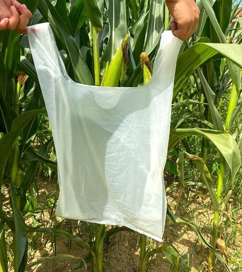 Eco-friendly bags made from Corn Starch: Say no to plastic bag