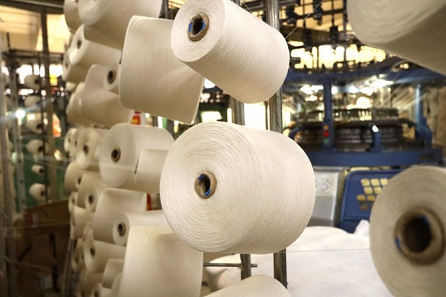 Bangladesh’s knit yarn market sees price stability in July 2025